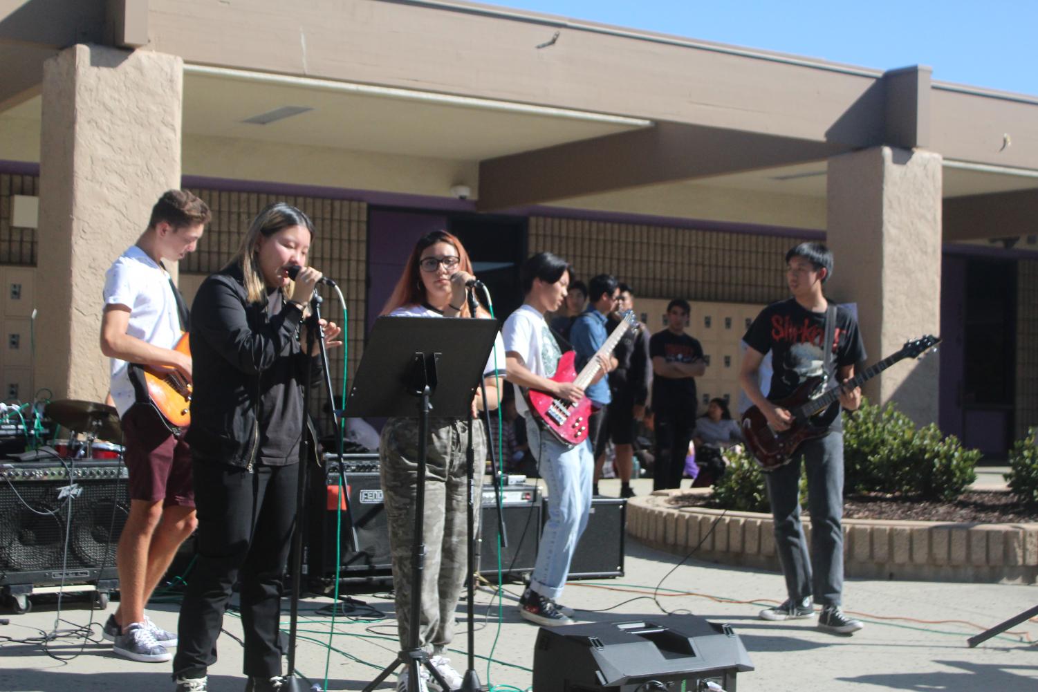 Commercial music performance at lunch – The Bull's Eye